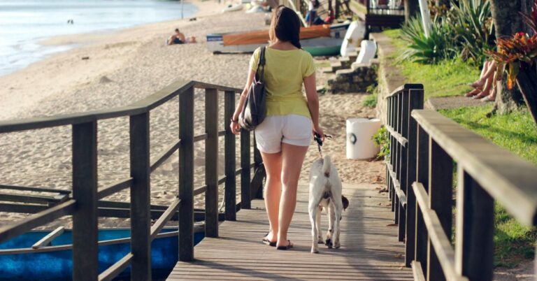 Creating a Dog Walking Schedule That Works – DogBabble